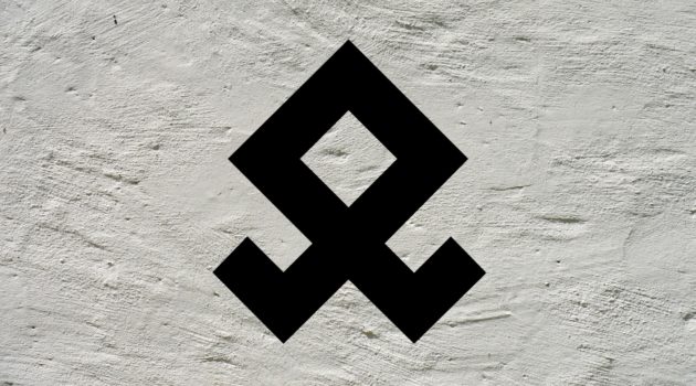 CPAC and the Nazis - Vince Wade